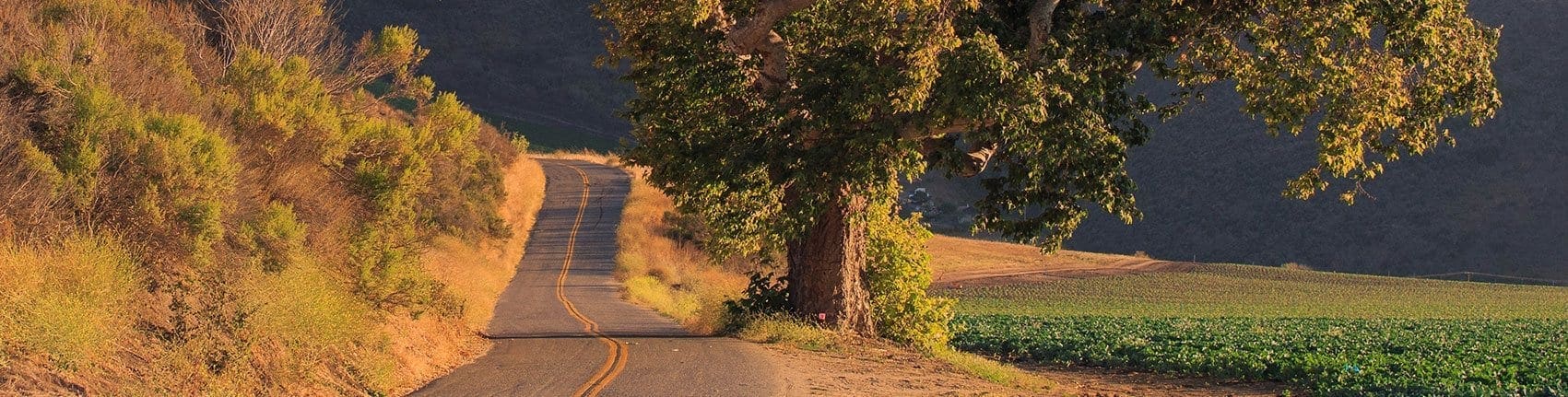 Lompoc CA Hotels, Events, Activities, Calendar, Dining and Wine Ghetto