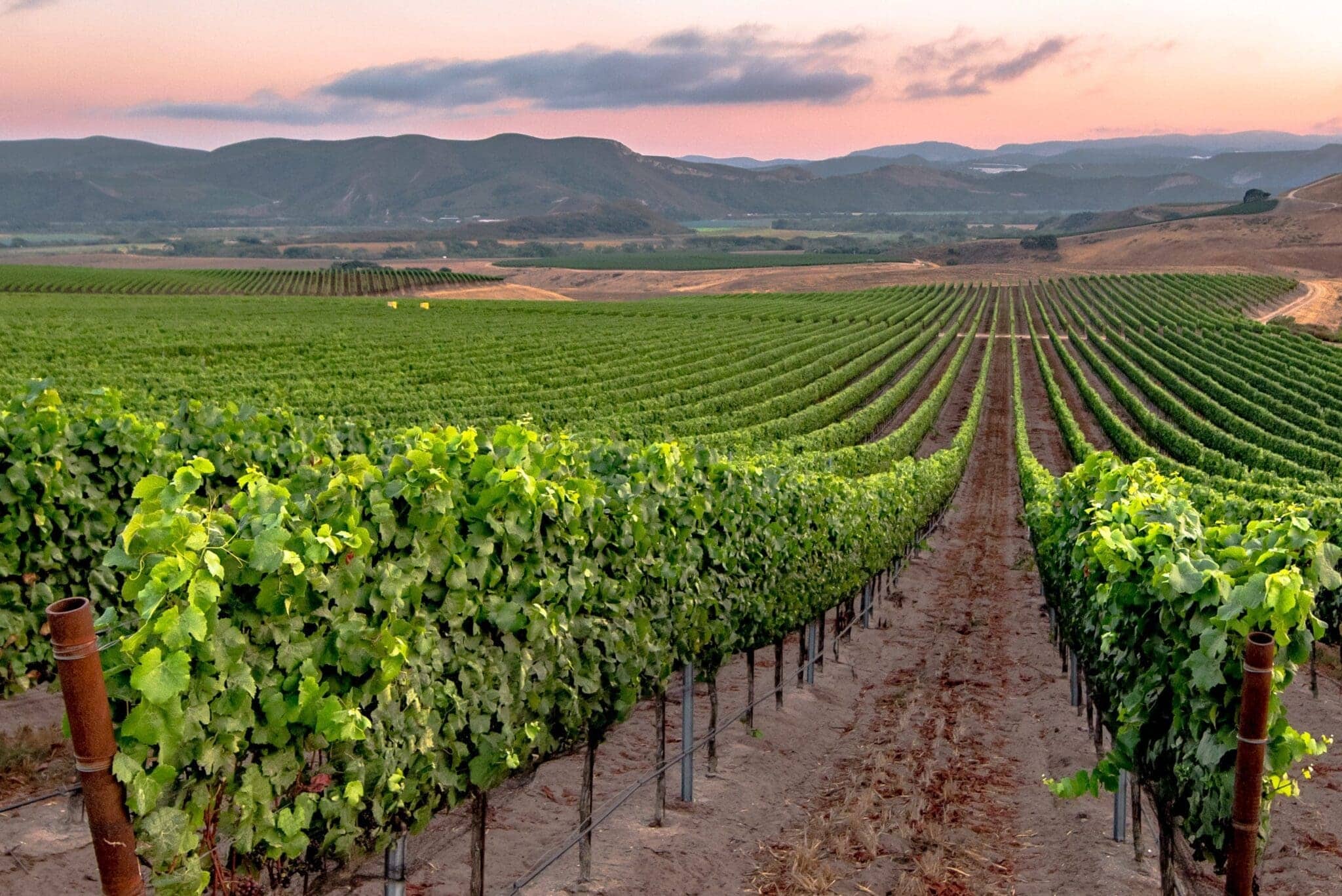 Discovering the Sta. Rita Hills Wineries - Lompoc California